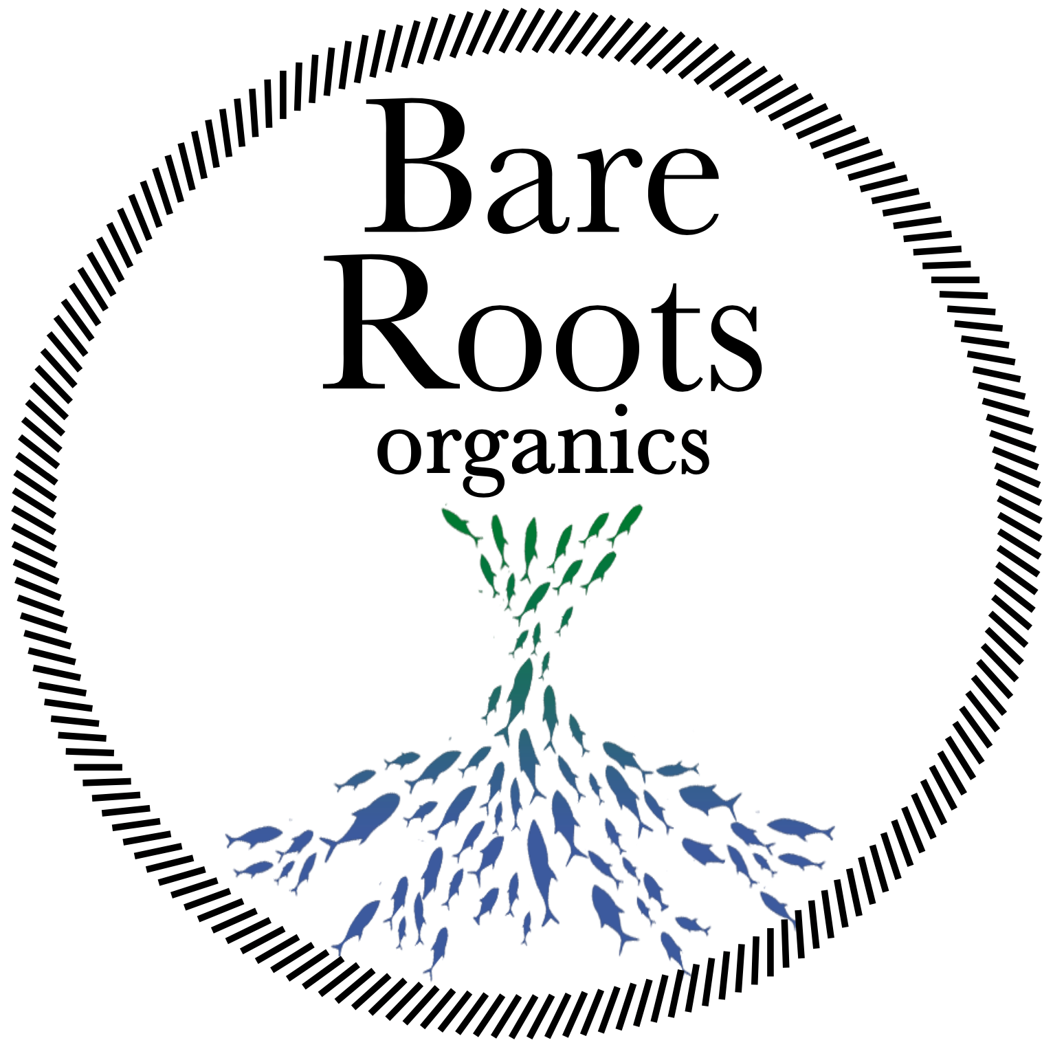 Specialty Grocery - BARE ROOTS ORGANICS